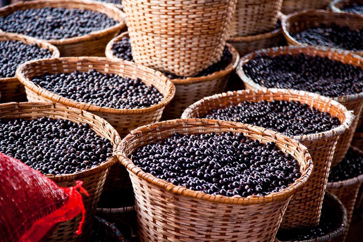 5 coisas que todo mundo deveria saber sobre o açaí